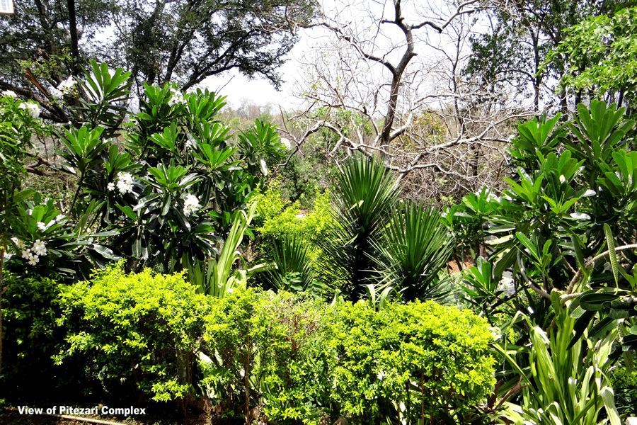 Forest Development Corporation of Maharashtra Limited